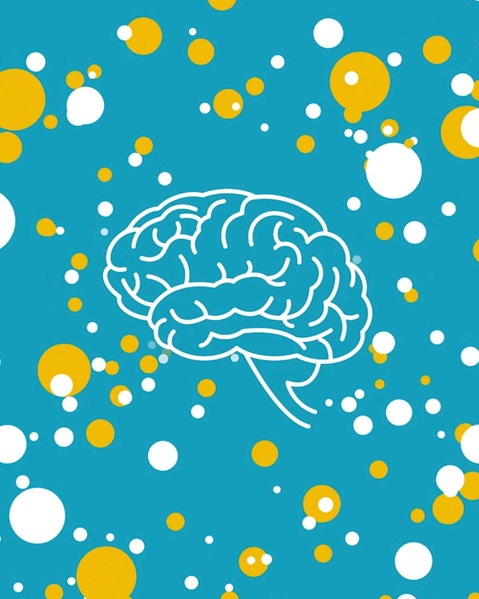 Edios Media | Paradigm | Case Study